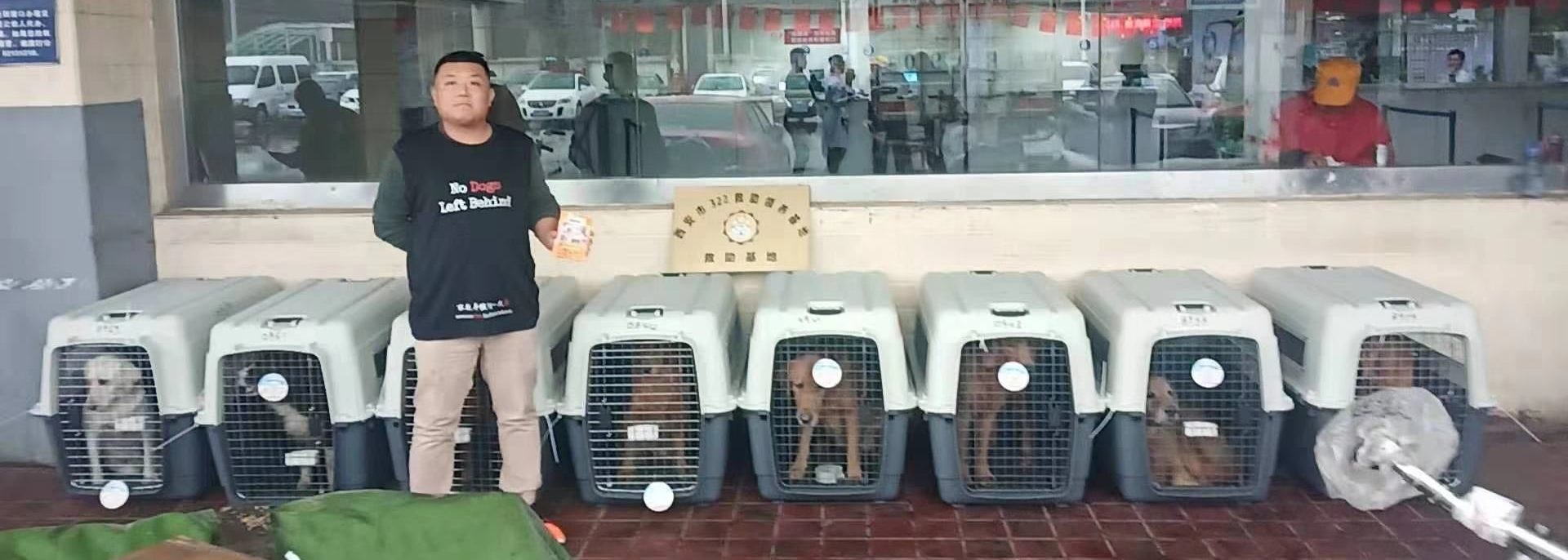 Give A Gift Where It’s Needed Most - No Dogs Left Behind