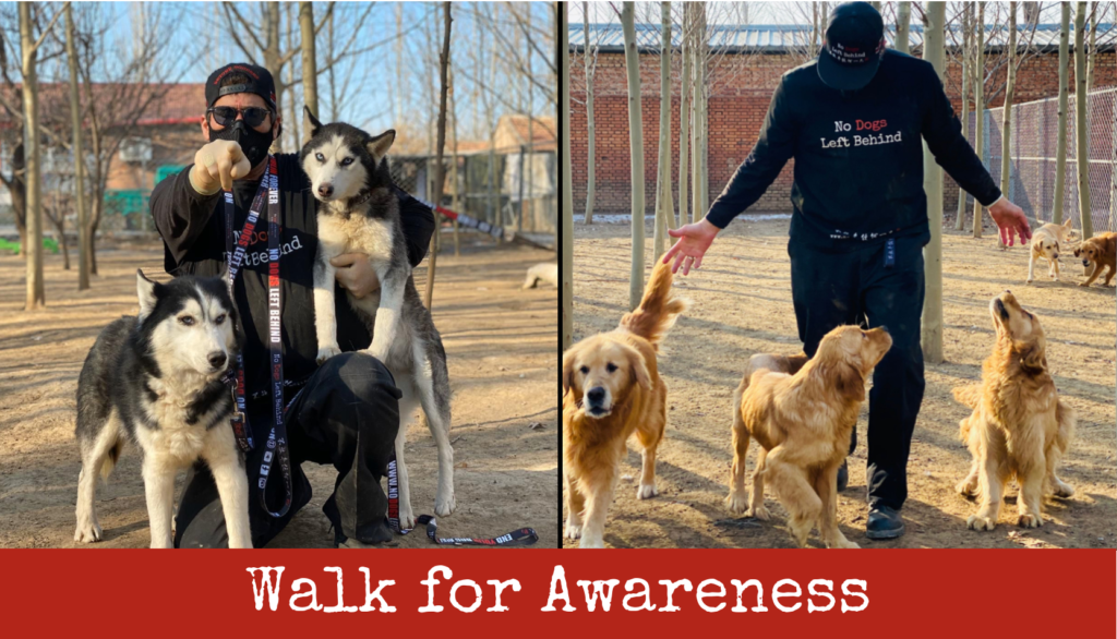 NDLB WALK FOR AWARENESS - No Dogs Left Behind